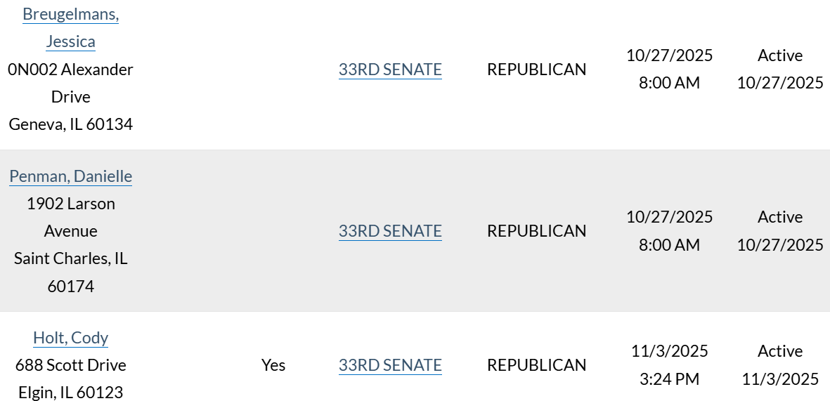 DeWitte possible successor Cody Holt faces objection - McHenry County Blog
