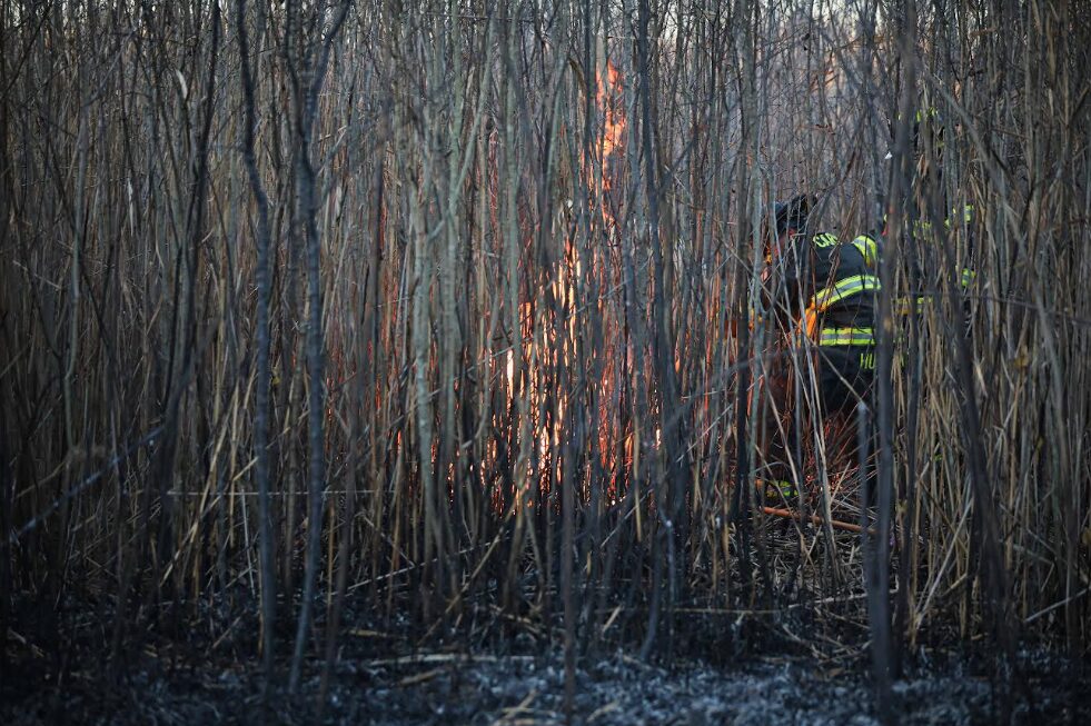 Marshland Burns Near Crystal Lake Road and West Rawson Bridge Road ...