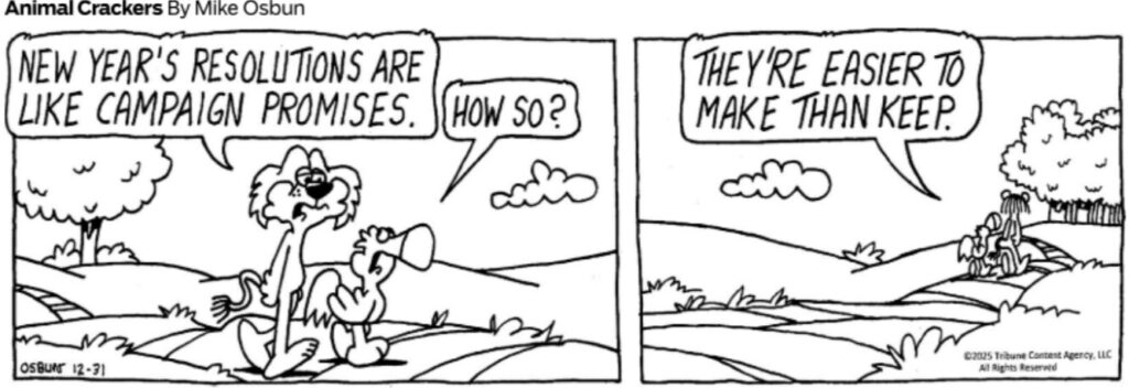 How Are New Year’s Resolutions Like Campaign Promises - McHenry County Blog